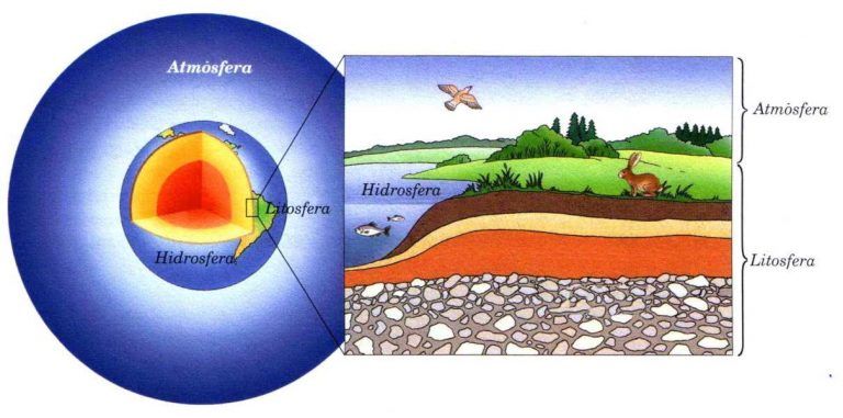 Qué es la biosfera, características, funciones y partes - Naturaleza y ...
