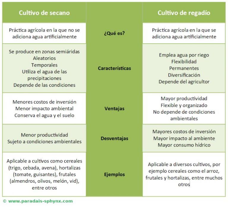 Diferencias entre minifundio y latifundio, con cuadro resumen ...