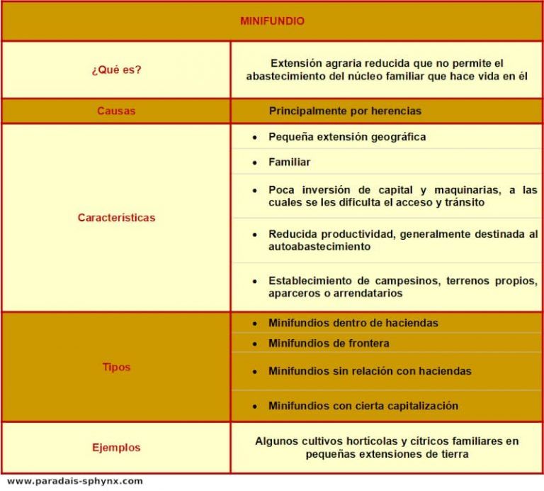 Minifundio, características, tipos y ejemplos - Naturaleza y ecología