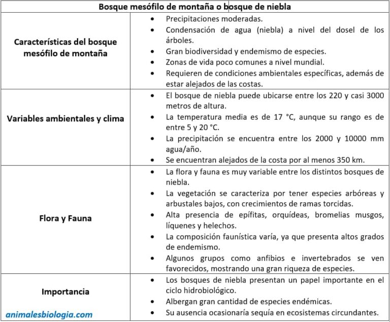 Bosque mesófilo de montaña o de niebla - Naturaleza y ecología